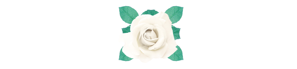 NC43 VITA ROSE - Vitalab